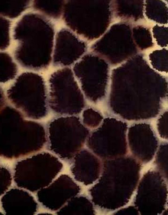 Animals Skins by Luli Sanchez – Lisbon-Paris-Madrid