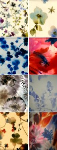 Watercolor Floral by Luli Sanchez – Lisbon-Paris-Madrid