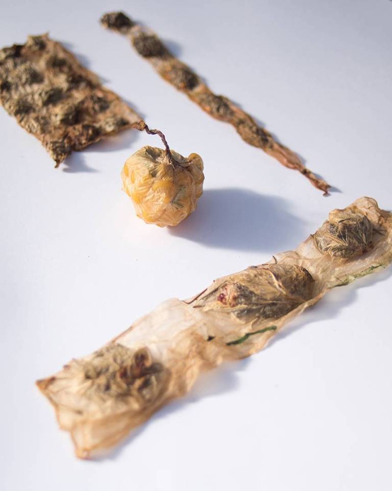 Scoby, living packaging – Lisbon-Paris-Madrid